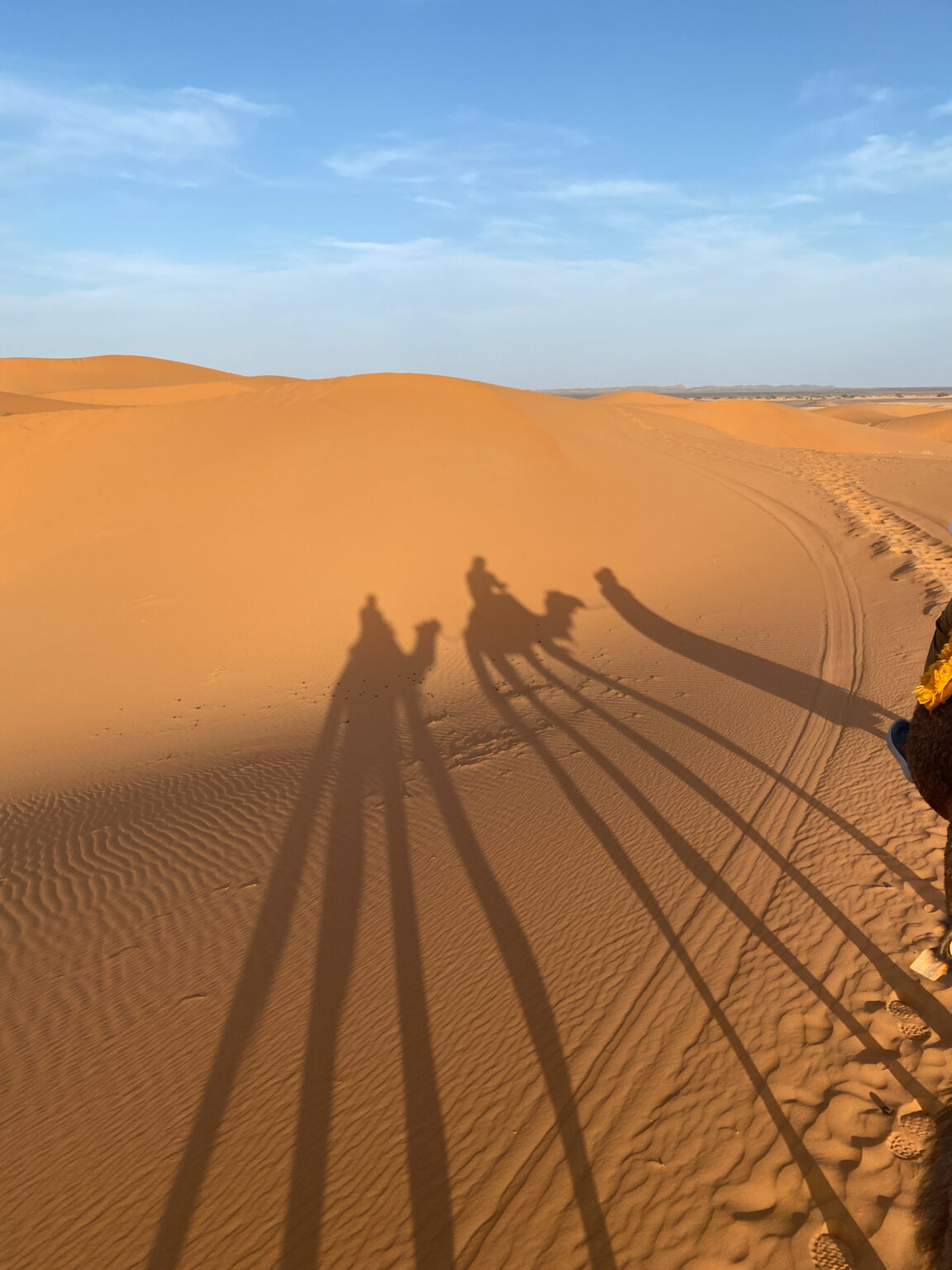 7 Travel Experiences to Have at Least Once in Your Life - arielcameron.com